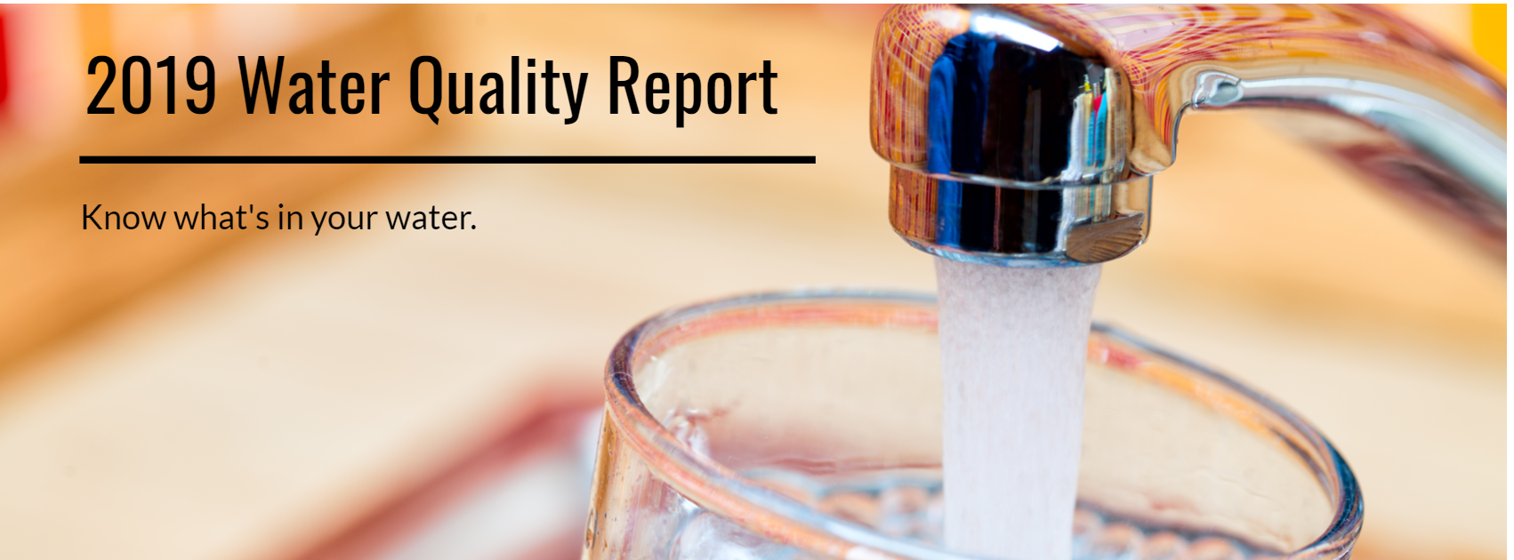 Drinking Water Quality Report | Town of Sullivan's Island Official Website